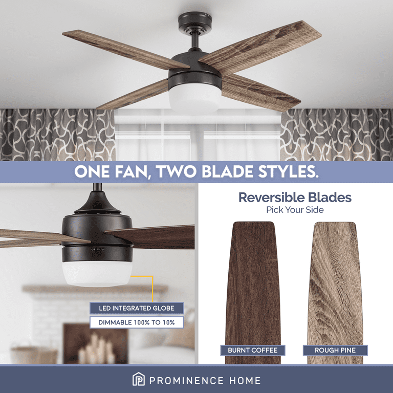 Two Blade Ceiling Fan With Light | Shelly Lighting