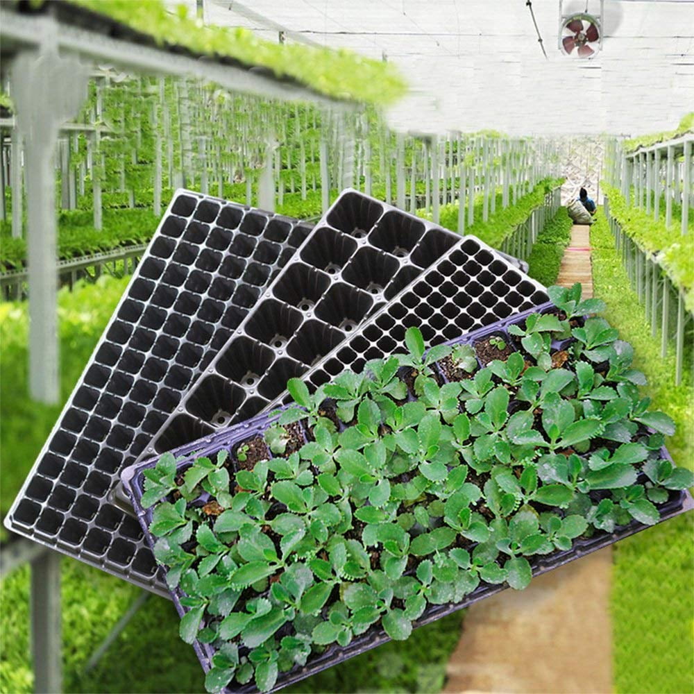 Mr. Garden Heavy Duty Seedling Tray,1000 Cells(20Trays 50-Cells per ...