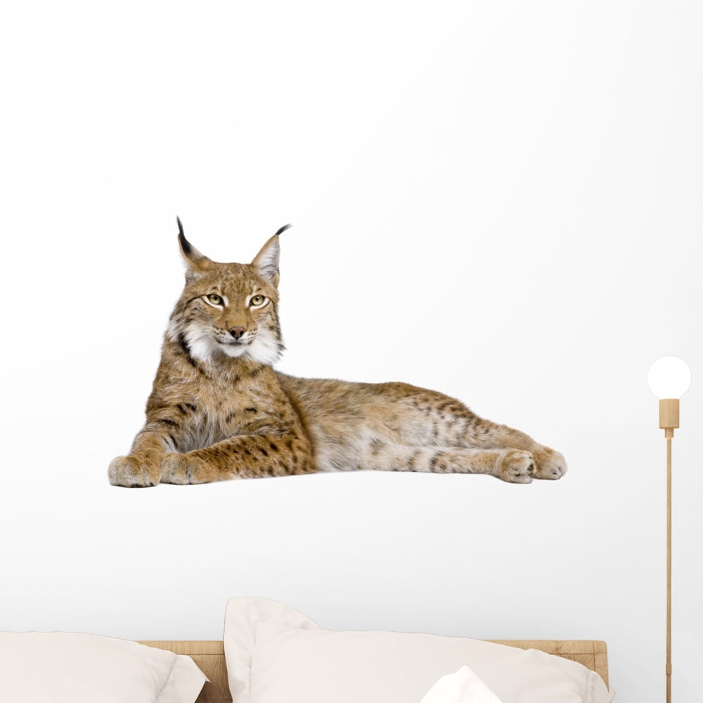 Eurasian Lynx Lynx Lynx Wall Decal by Wallmonkeys Peel and Stick ...