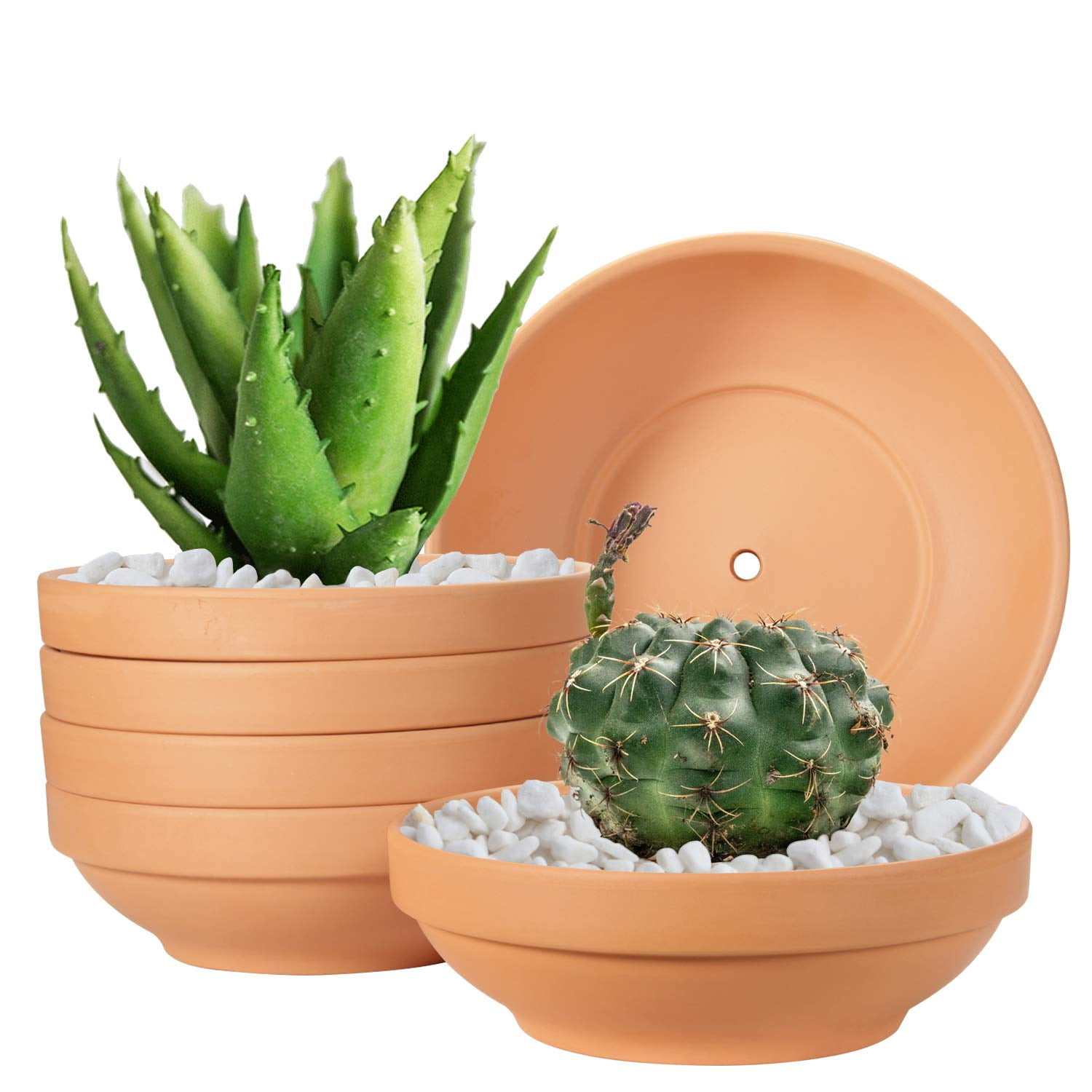 Click here for Laerjin Terra Cotta Pots  Laergin 6.43 Inch Shallo... prices