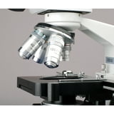 AmScope 2500X LED Binocular Compound Microscope w 3D-Stage, Book & 100 ...