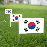 Anley Korea Mini Flag 12 Pack - Hand Held Small Miniature Korean Flags ...