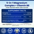 5-in-1 Magnesium Complex 420MG - High Absorption - Chelated Magnesium ...