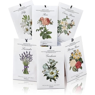 Expressive Scent 6 Pack Large Scented Sachet, Long Lasting Air ...