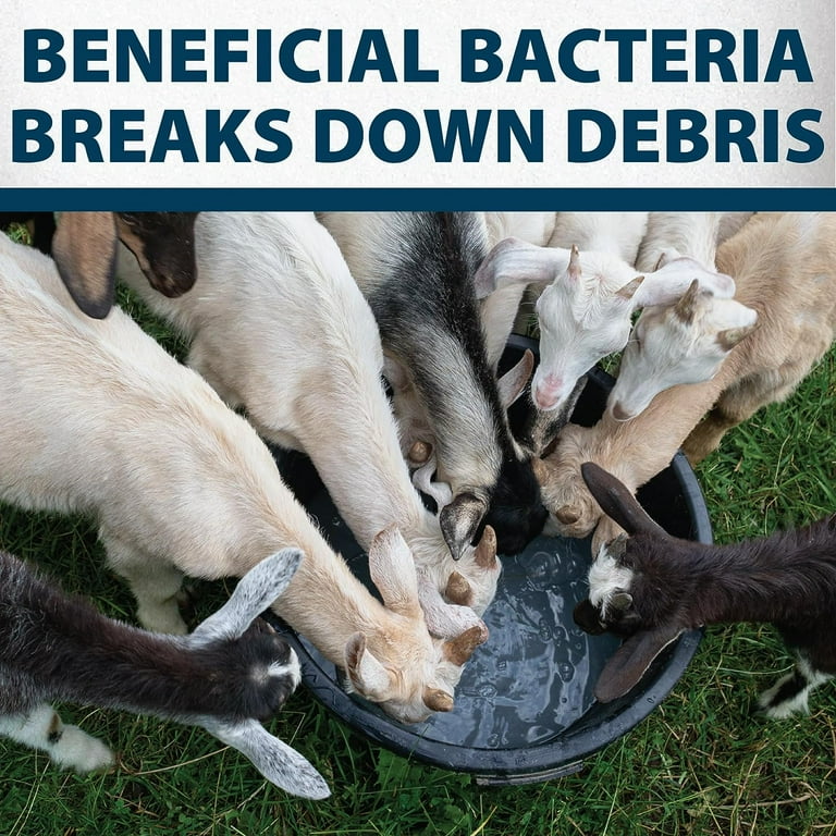 Chicken Water Airmax Stock Tank Defense, Livestock Water Trough Cleaner ...