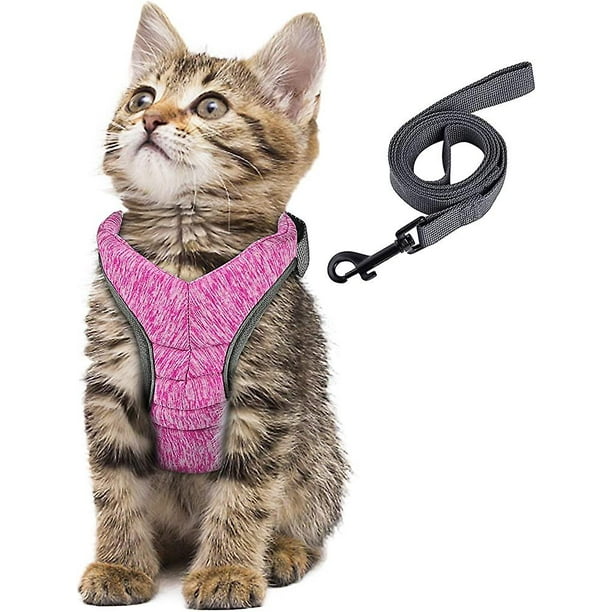 Cat Harness, Cat Harness With Leash Escape-proof, Harness For Heilwiy ...