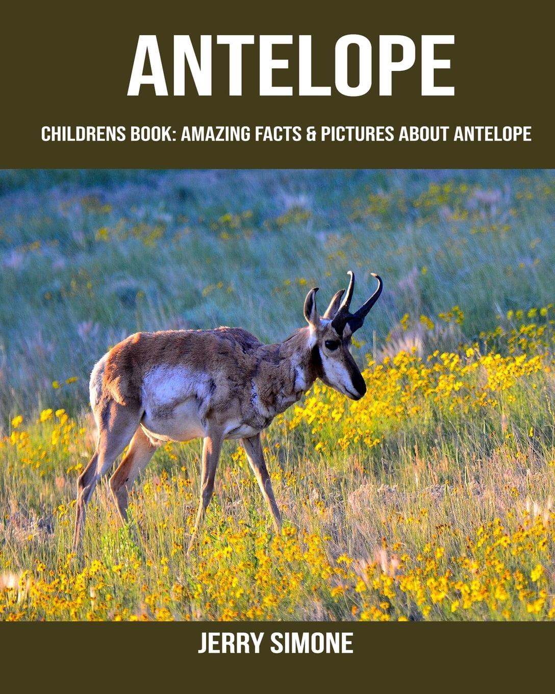 Childrens Book: Amazing Facts & Pictures about Antelope Paperback ...