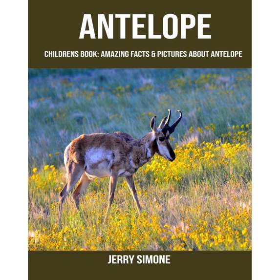 Childrens Book: Amazing Facts & Pictures about Antelope Paperback ...