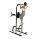 Weider Power Tower with Four Workout Stations and 300 lb. User Capacity ...