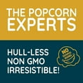 Pilot Knob Comforts Blue Bounty Gourmet Popcorn Kernels for Popcorn ...