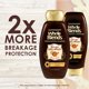 Garnier Whole Blends Ginger Recovery Strengthening Shampoo, 22 fl. oz ...