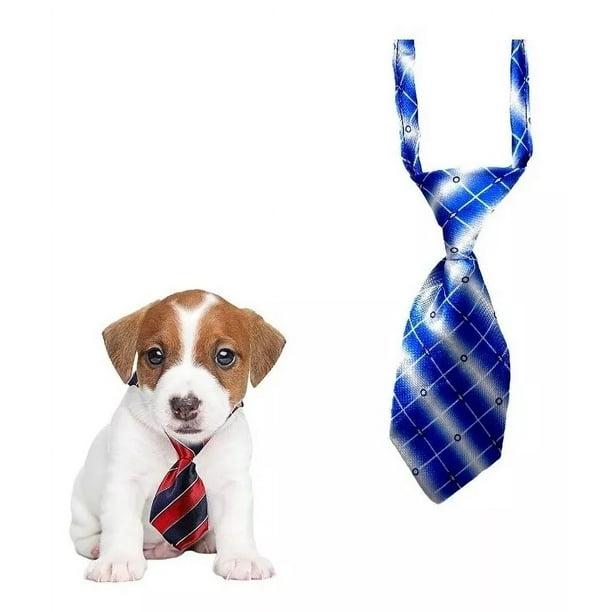 Collar Corbata Tipo Corbatin Gato Perro Raza Pequeña Mascota | Bodega ...