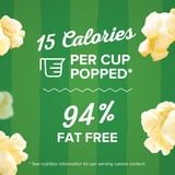 Orville Redenbacher's SmartPop! Mini Bags Kettle Corn Microwave Popcorn ...