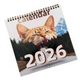 2026 Kitten Theme Calendar Twin Coil Binding 2026 Wall Monthly Calendar ...
