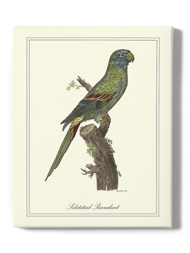 Solstitial Parrakeet Wrapped Canvas -Sydenham Edwards Designs ...