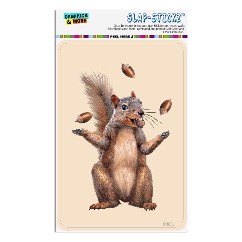 Squirrel Juggling His Nuts Crazy Funny Home Business Office Sign ...