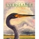 Everglades (Paperback) - Walmart.com