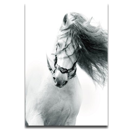 Running Steed Oil Poster Black White Horse White Horse Wall Picture ...