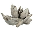Vickerman 6" White Wash Star Pod, 1 piece, Dried - Walmart.com