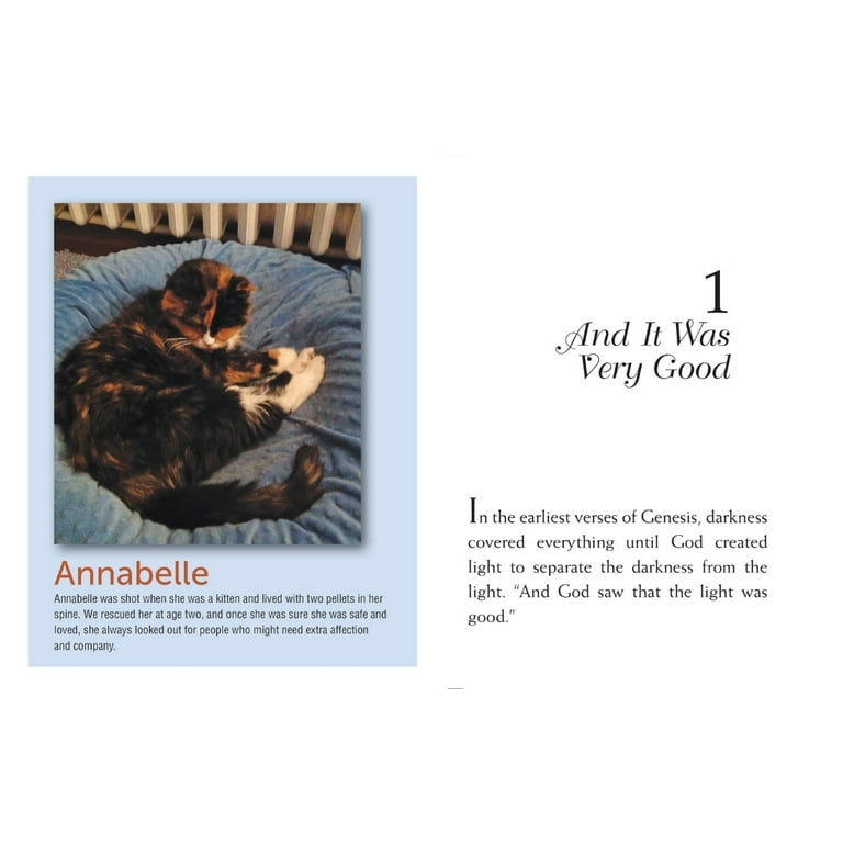 Cat Goes To Heaven Poem | Sitedoct.org