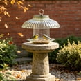 Clear Bird Feeder Rain Guard - Transparent Weatherproof Shield for Tube ...