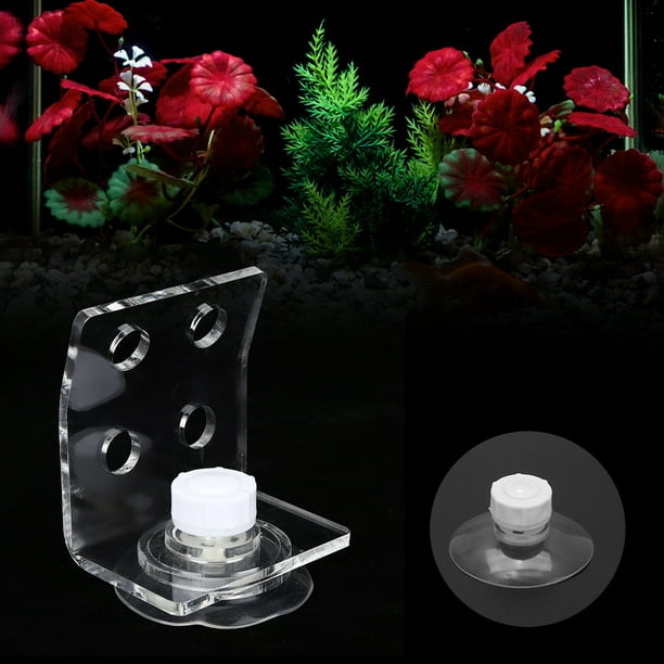 Coral Frag Rack,Acrylic Transparent Aquarium 4 Coral Rack Base Coral ...