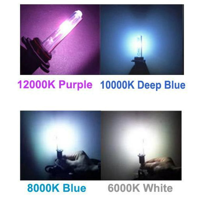 Purple Xenon Lights