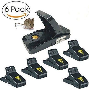 Intruder's The Better Mousetrap 6 Pack - Walmart.com