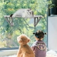 Cat Window Perch Hammock Seat, Cat Bed for Window, Heavy Duty Suction ...