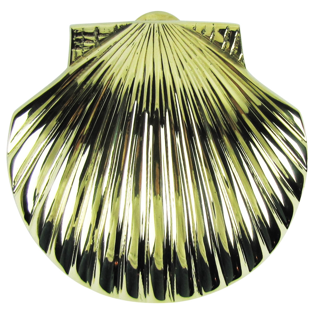 Solid Brass Scallop Shell Sea Life Door Knocker Beach Decor Seashell ...