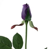 23" Deep Purple Long Stem Rose Bud Pick - Walmart.com