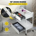 VEVOR Lab Cart, 2 Tiers Lab Trolley, Steel Lab Utility Cart, 360 ...