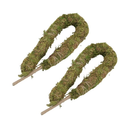 Moss Plant Rod, Moss Pole Prompt Plant Growth Stimulate Plants Bendable ...