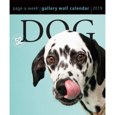 Dog Page-A-Day Gallery Calendar 2019 (Other) - Walmart.com