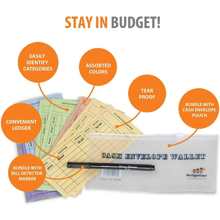 Ledger Cash Envelope System