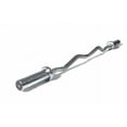 Champion E-Z Curl Bar for Strength and Fitness Training - Walmart.com