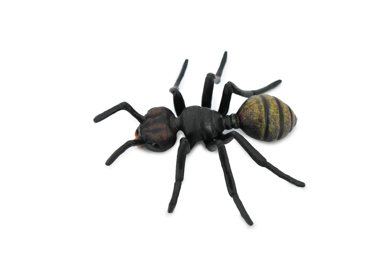 Ant, Black Ant, Myrmicinae, Hand Painted, Rubber Insect, Realistic Toy ...