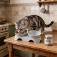 Grey Two In One Pet Bowl For Cats And Dogs Water And Food Neck ...