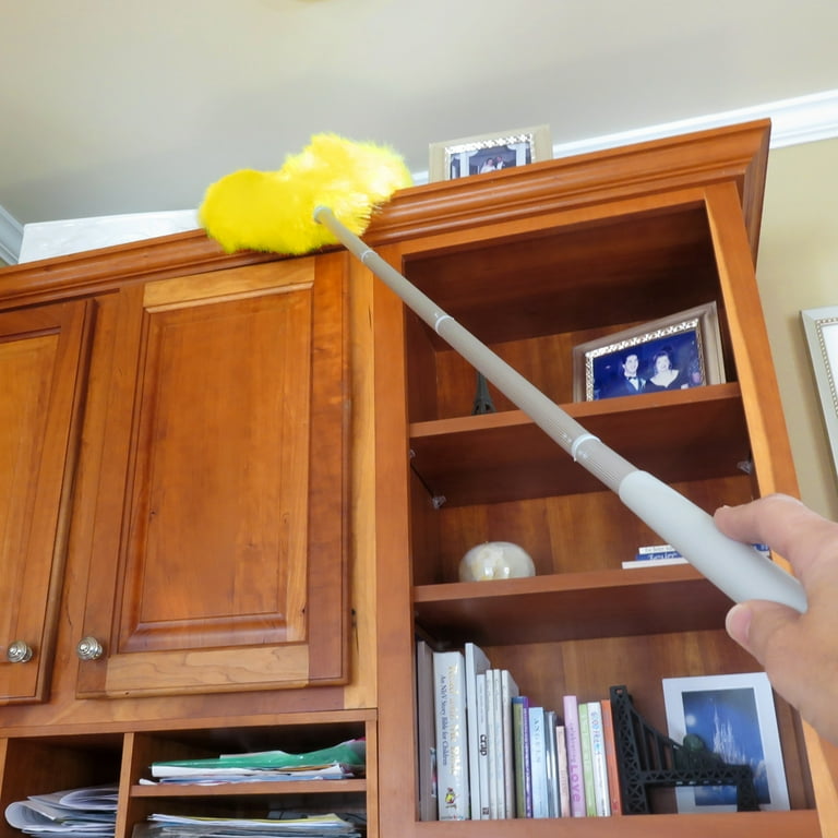 Diy High Ceiling Duster | Shelly Lighting