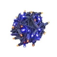 Novelty Lights Purple/Orange 100 LED Halloween Mini Light Set (Black ...