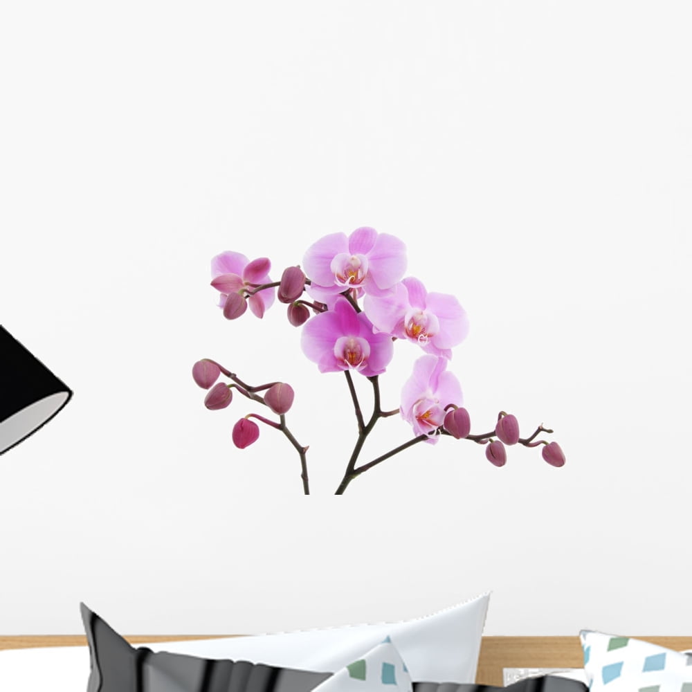 Violet Orchid Flower Wall Decal Sticker, Wallmonkeys Peel & Stick Vinyl ...
