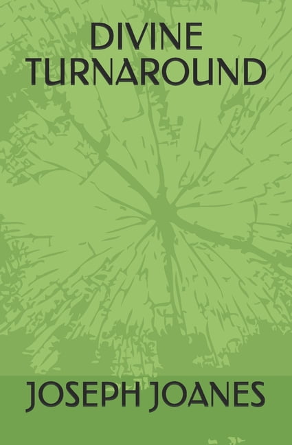 Divine Turnaround (Paperback) - Walmart.com