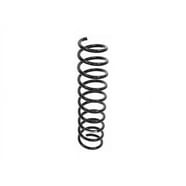 Moog 81069 Coil Springs, Rear - Walmart.com