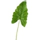 D&W Silks - Large Philo Leaf - Set of 3 - Walmart.com