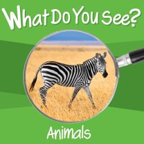 My First Animal Signs (Board Book) - Walmart.com