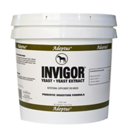 Adeptus Solid Wood Nutrition 20129 Invigor For Horses 3 lbs. | Walmart ...