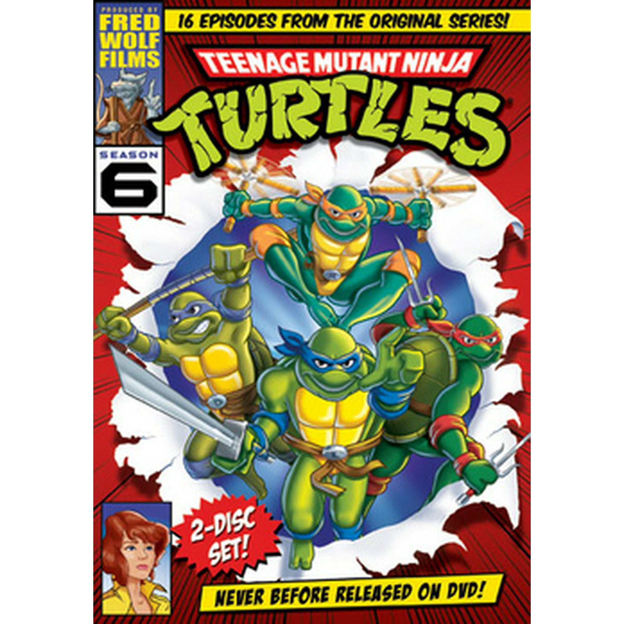 Teenage Mutant Ninja Turtles Season 6