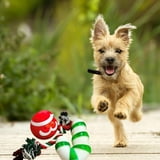 Esho Christmas Stocking Dog Toys, Holiday Stuffers, Colorful Latex ...