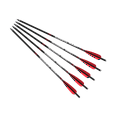 "Headhunter 22"" Carbon Archery Arrows for Crossbow Hunting with Field ...