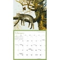 Carousel Calendars, Wysocki Cat Tales Deluxe 2025 Wall Calendar - Walmart.com